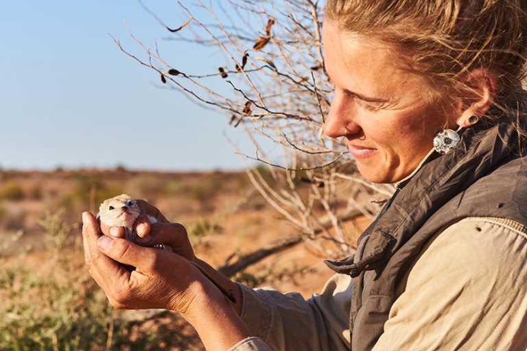 Defying drought and invasives, a feisty Australian marsupial makes a ...